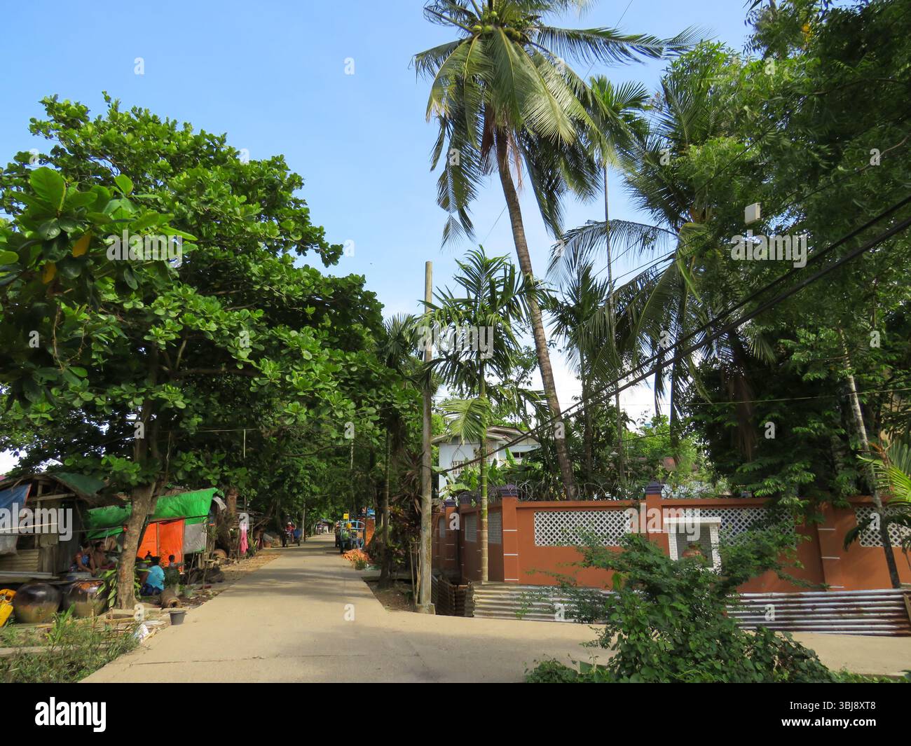 Native houses in jungle hi-res stock photography and images - Alamy