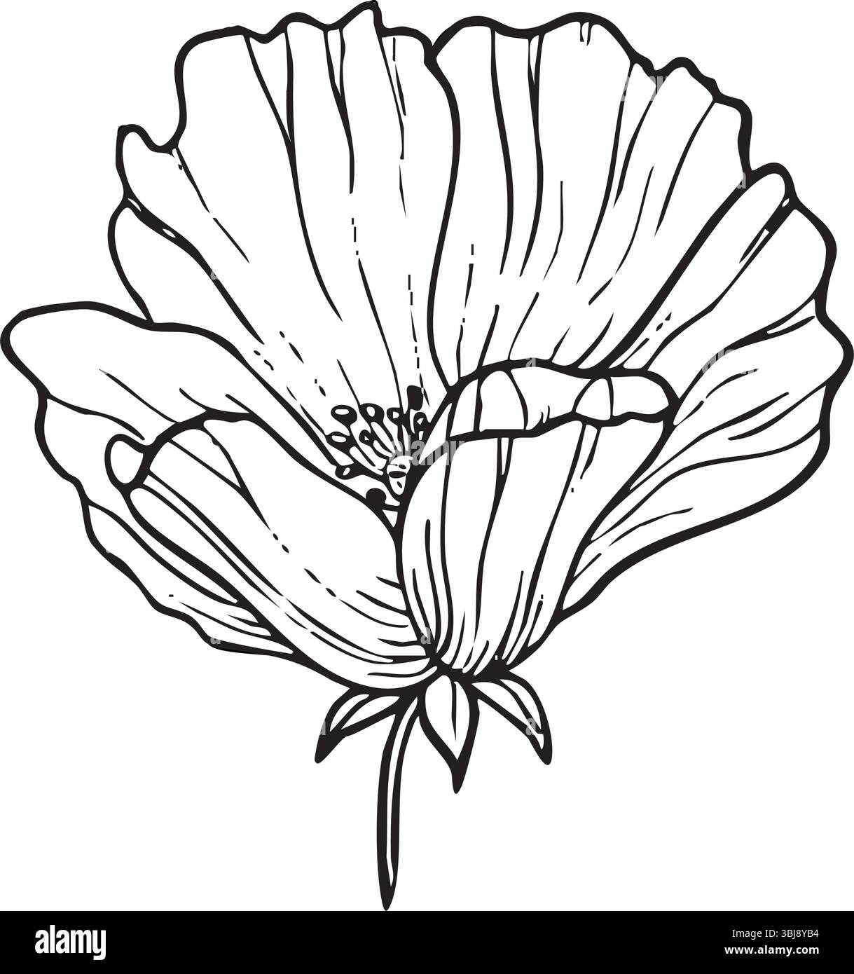 Vector hand drawn floral illustration of blooming rosehip. Ink Drawing ...