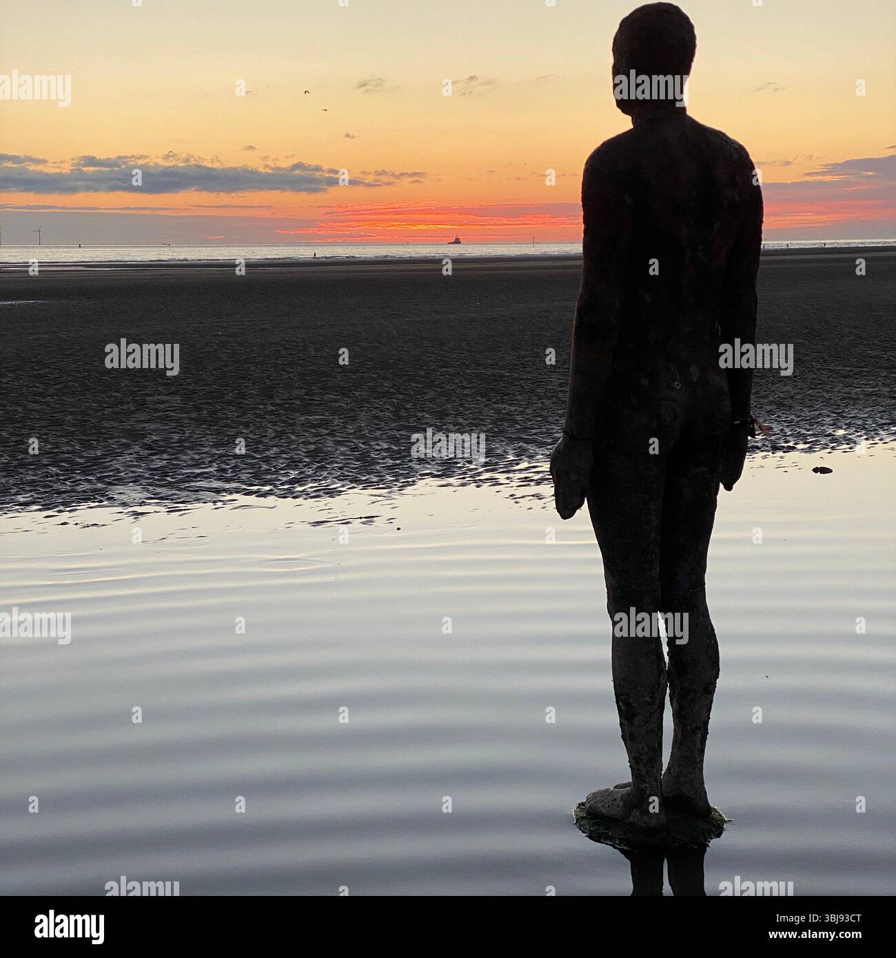 Iron Man statue by Anthony Gormley at Crosby beach with pink-red sunset ...