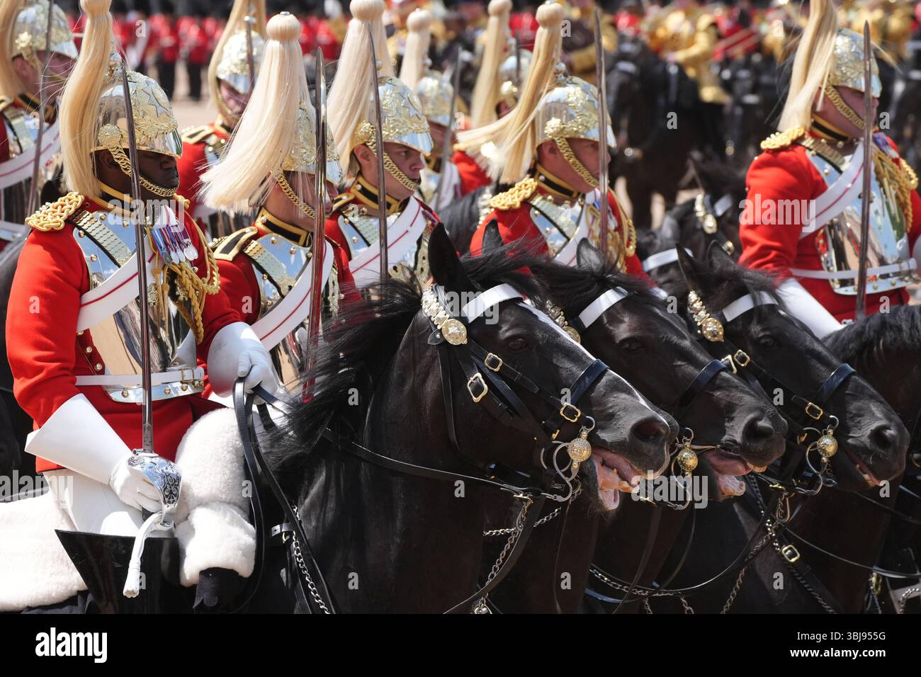 Members of the Household Cavalry during the Trooping the Colour ...
