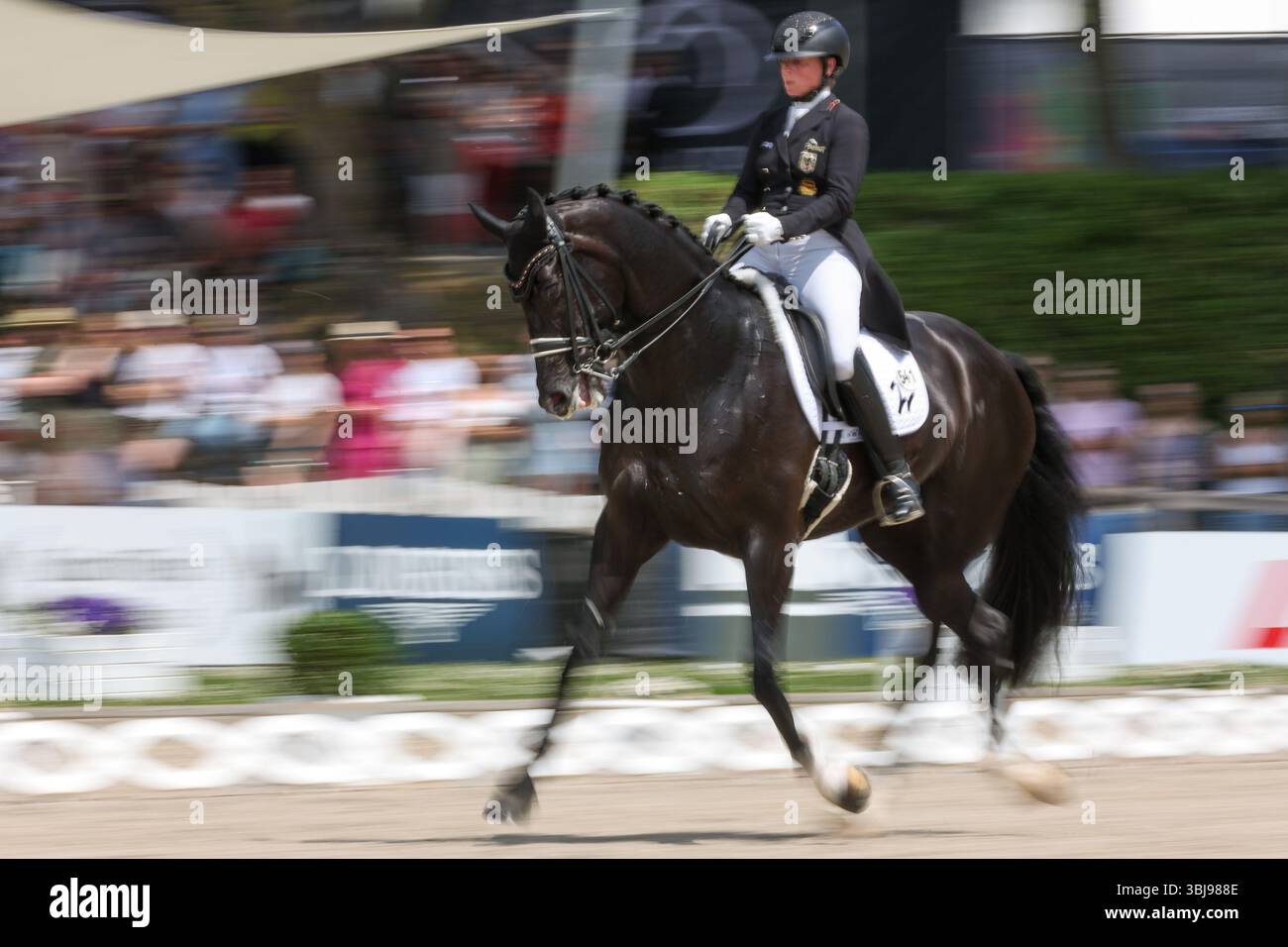 Balve, Germany. 14th June, 2025. Equestrian sport: German Championships ...