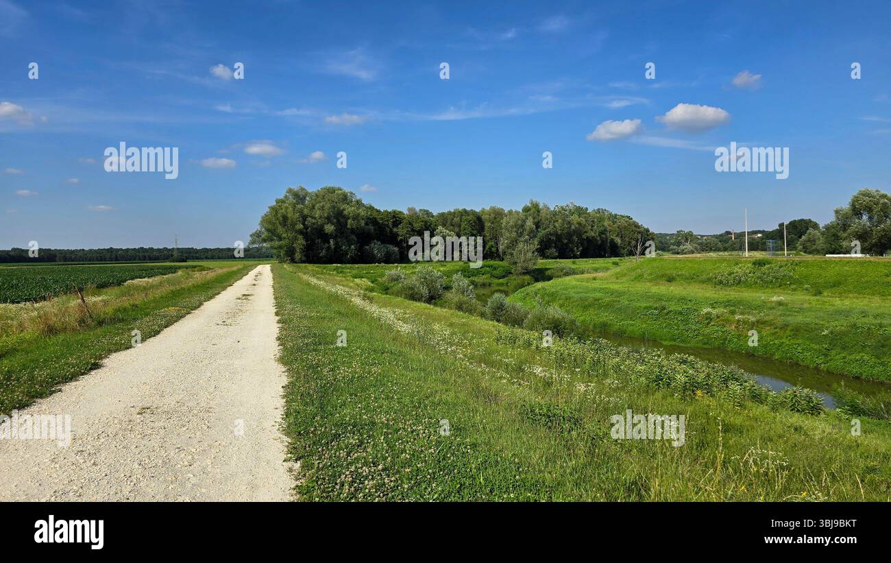 Green farmland stretching toward forest hi-res stock photography and ...