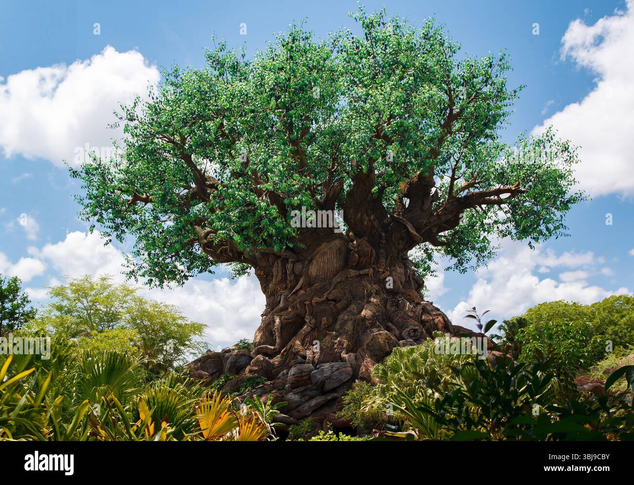 The Famous tree of life in Animal Kingdom, Disney World, Bay Lake ...