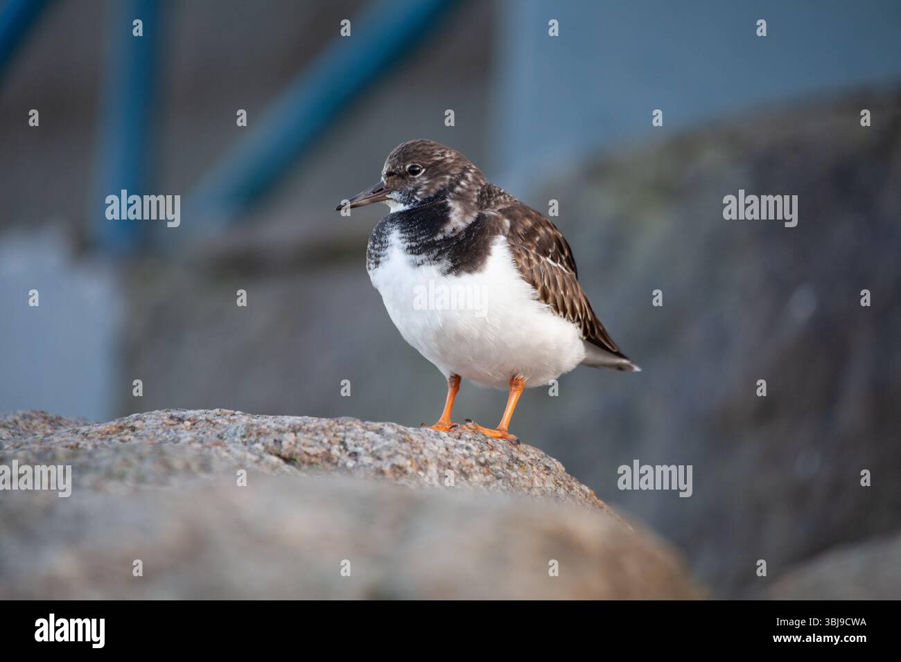 Turns stones hi-res stock photography and images - Alamy
