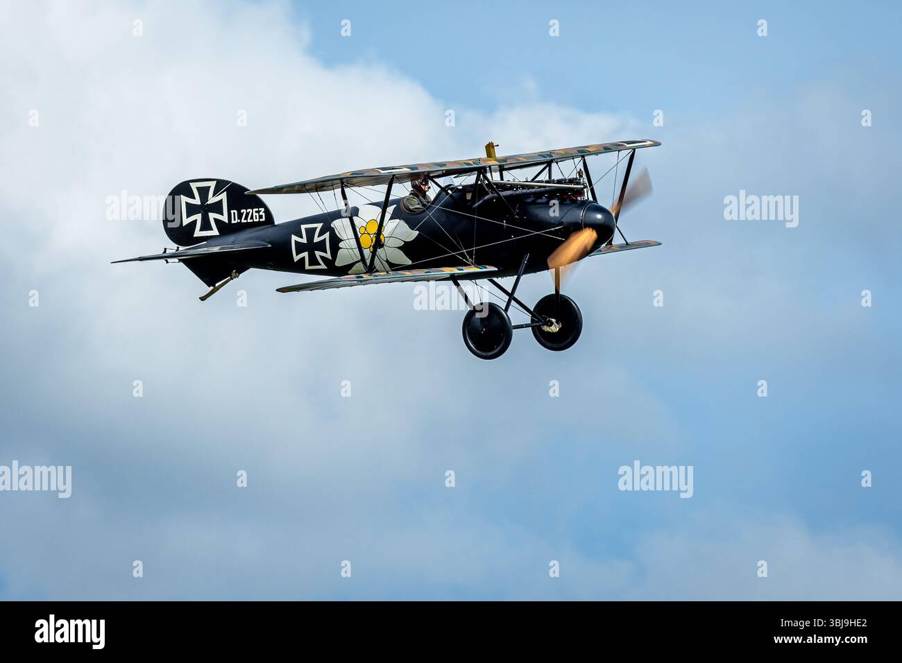 Albatros DVa, airborne at the Military Air Show held at Shuttleworth on the 31st May 2025 Stock ...