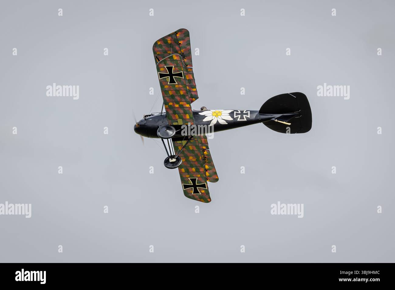 Albatros DVa, airborne at the Military Air Show held at Shuttleworth on the 31st May 2025 Stock ...