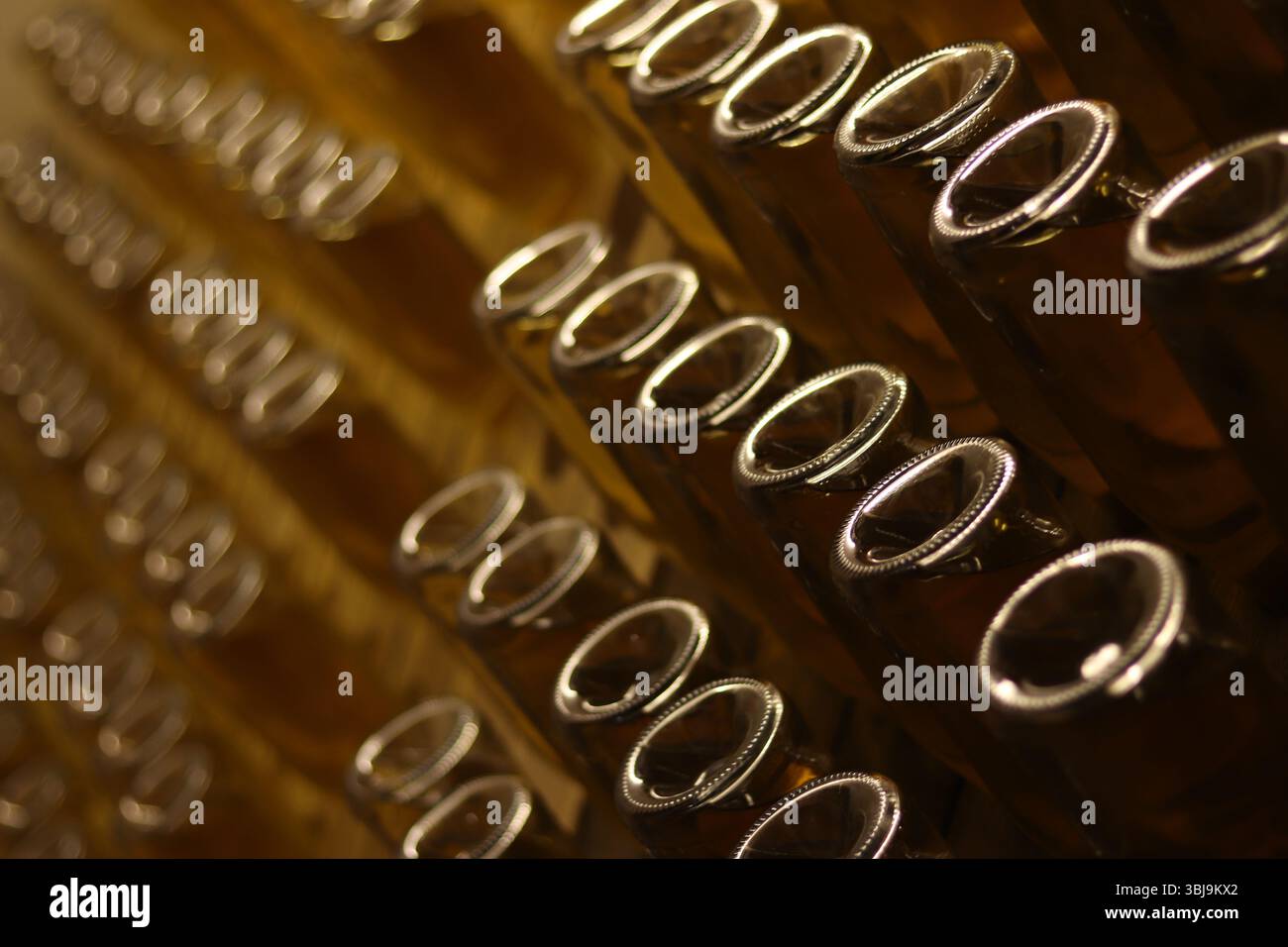 Production of carbonated apple cider. Glass bottles with cider in an ...