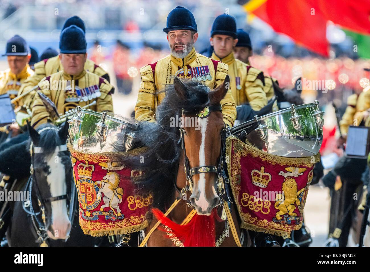 London, UK. 14th June, 2025. A drum horse shows off its mane - The King ...
