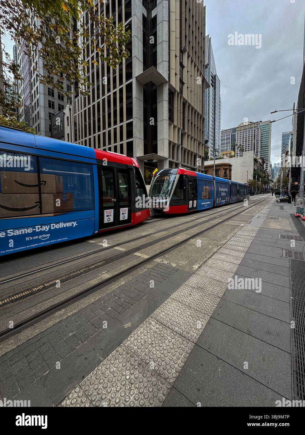 Modern light rail trams on George Street in Sudney's central business ...