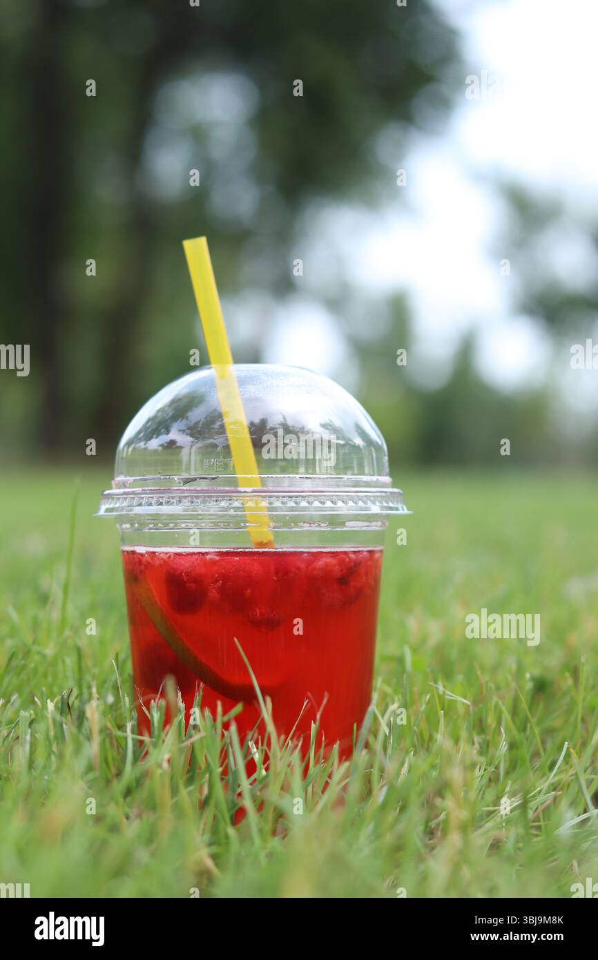 Lemonade in a disposable plastic cup stands on the grass. Refreshing ...