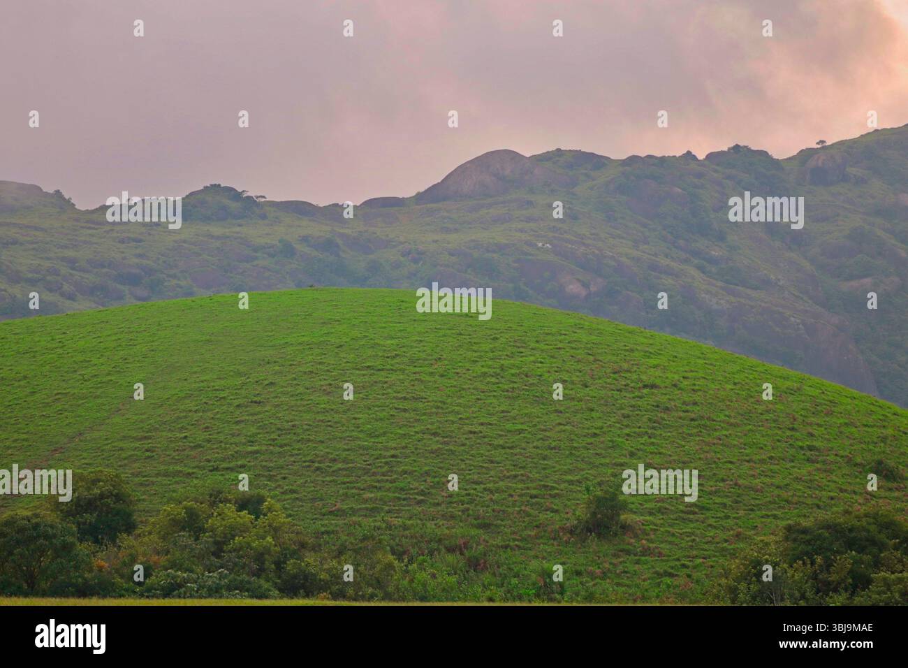 Green Hill with Mountain Backdrop – Kerala Stock Photo - Alamy