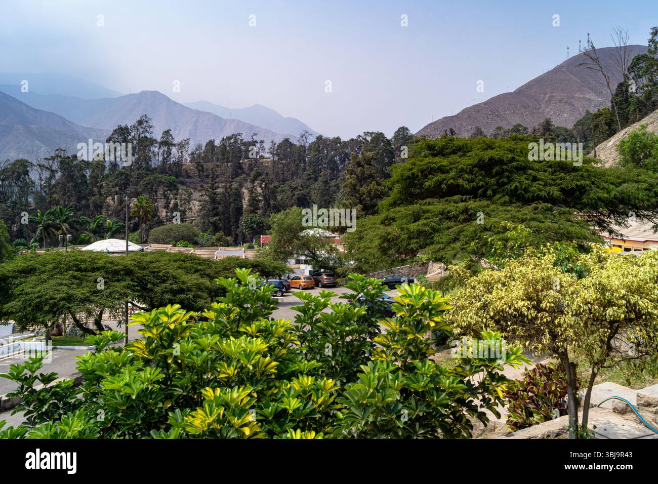 Forests of the Chosica country clubs, Lima, Peru, with the hills in the ...