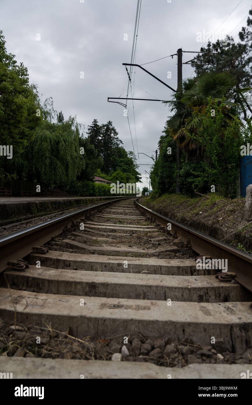 Railroad track between green hi-res stock photography and images - Alamy
