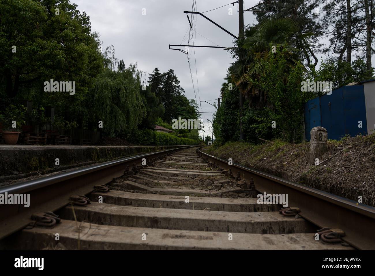 Train tracks between trees hi-res stock photography and images - Alamy