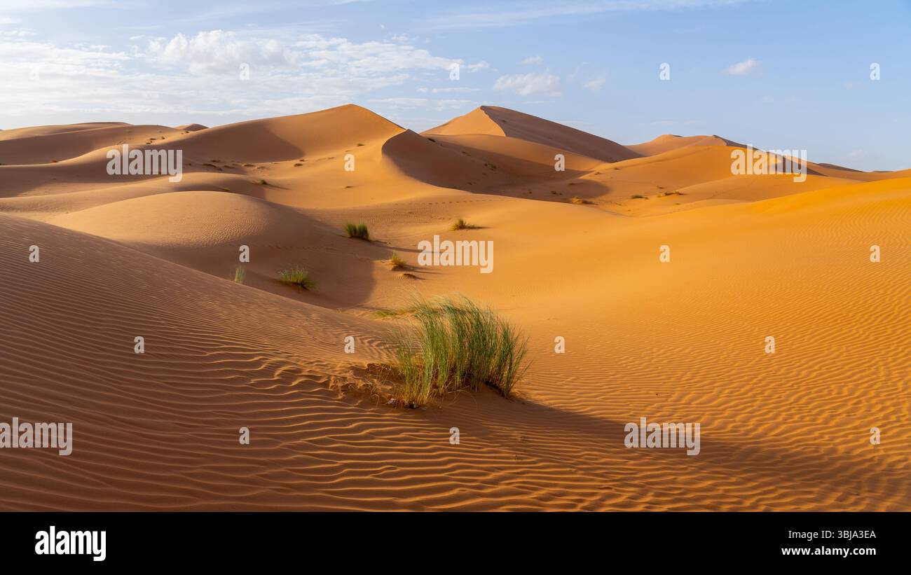 View of Sahara Desert in Morocco, Africa. The Sahara Desert is the ...