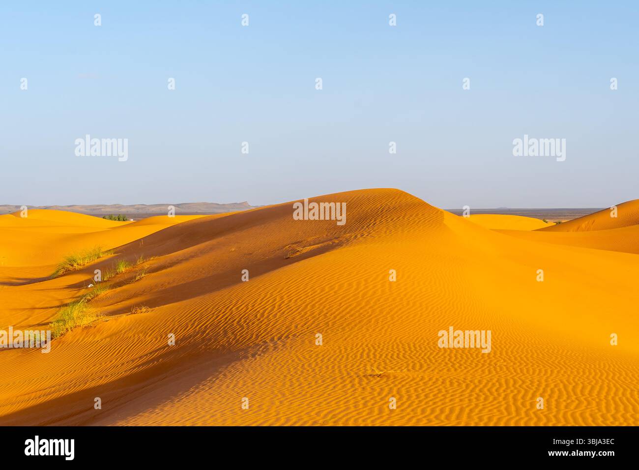View of Sahara Desert in Morocco, Africa. The Sahara Desert is the ...