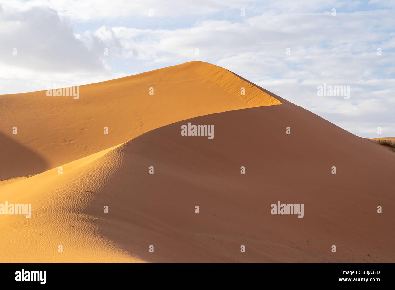 View of Sahara Desert in Morocco, Africa. The Sahara Desert is the ...