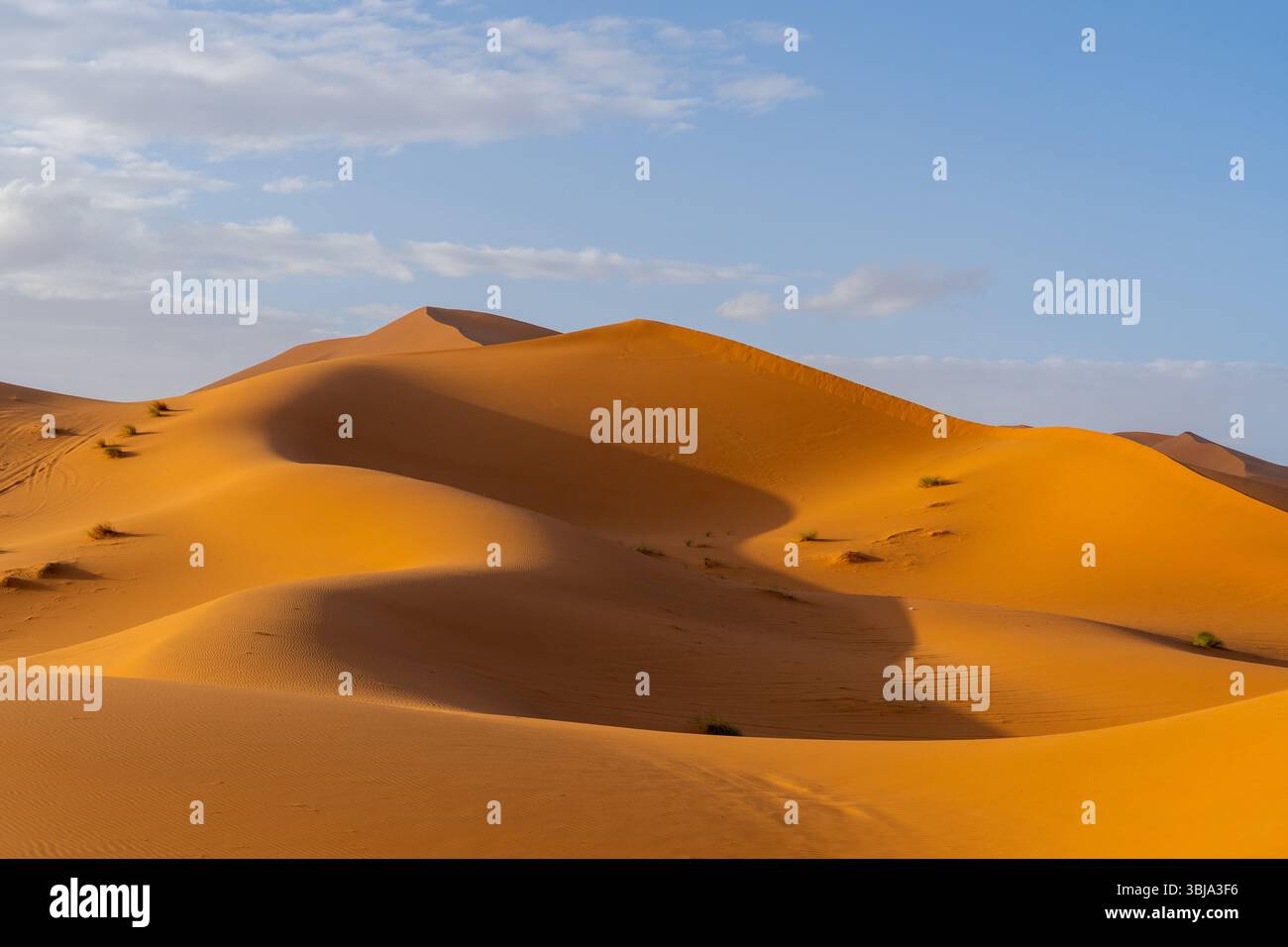 View of Sahara Desert in Morocco, Africa. The Sahara Desert is the ...