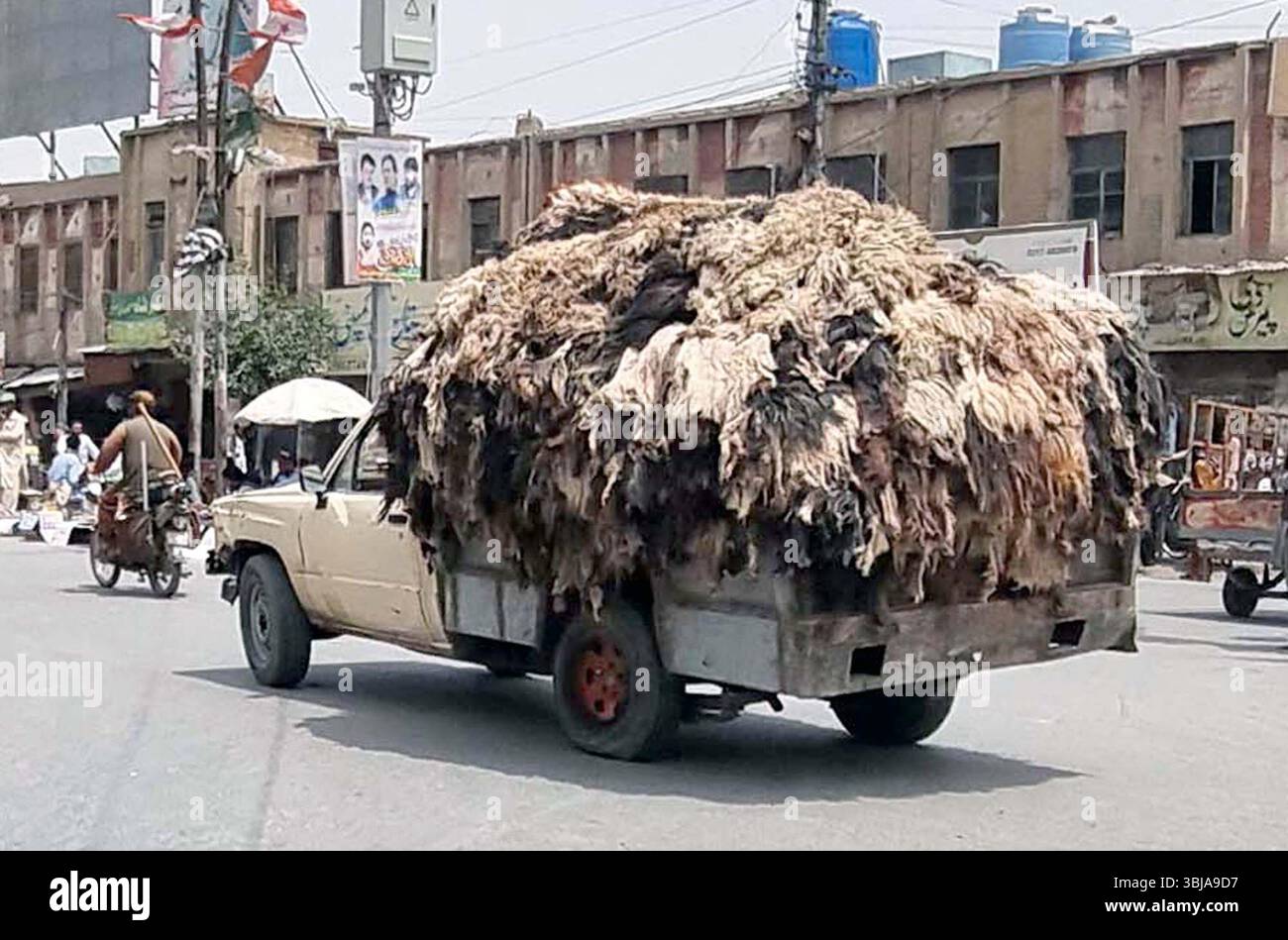 An overloaded vehicle carries huge animals skins, passing through the ...