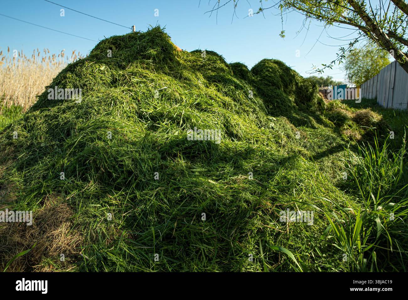 Huge mound of freshly mowed grass in a backyard. Eco-friendly garden ...