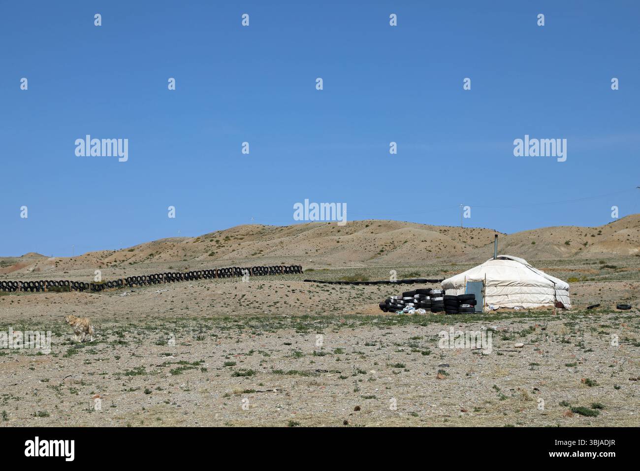 Mongolian yurt in the Gobi Desert Stock Photo - Alamy