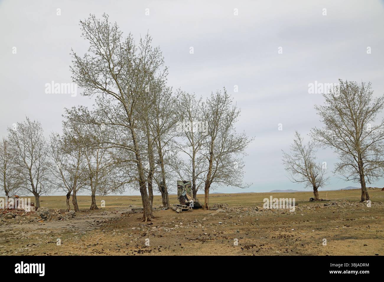 Mosaic in the Gobi Desert which is a relic from an abandoned Soviet ...