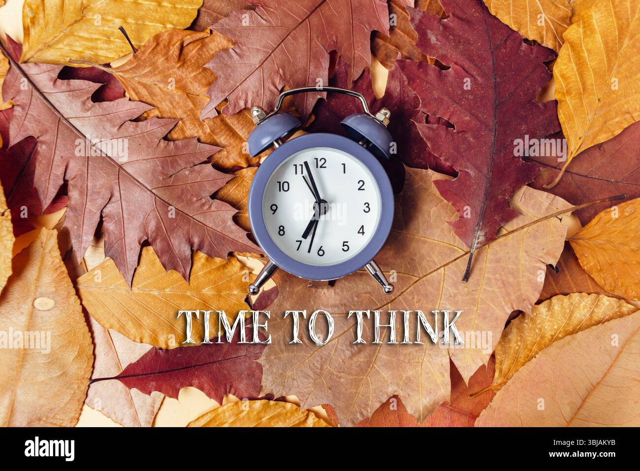 Clock is on top of a pile of leaves with the words Time to Think Stock ...