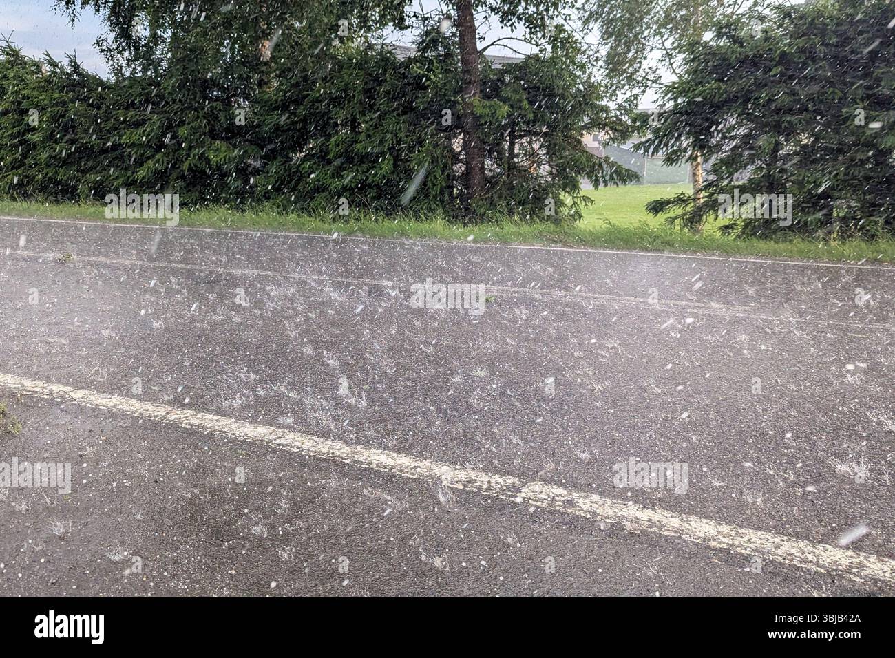 Ingoldingen, Germany. 14th June, 2025. Hailstones pelt down on a road ...