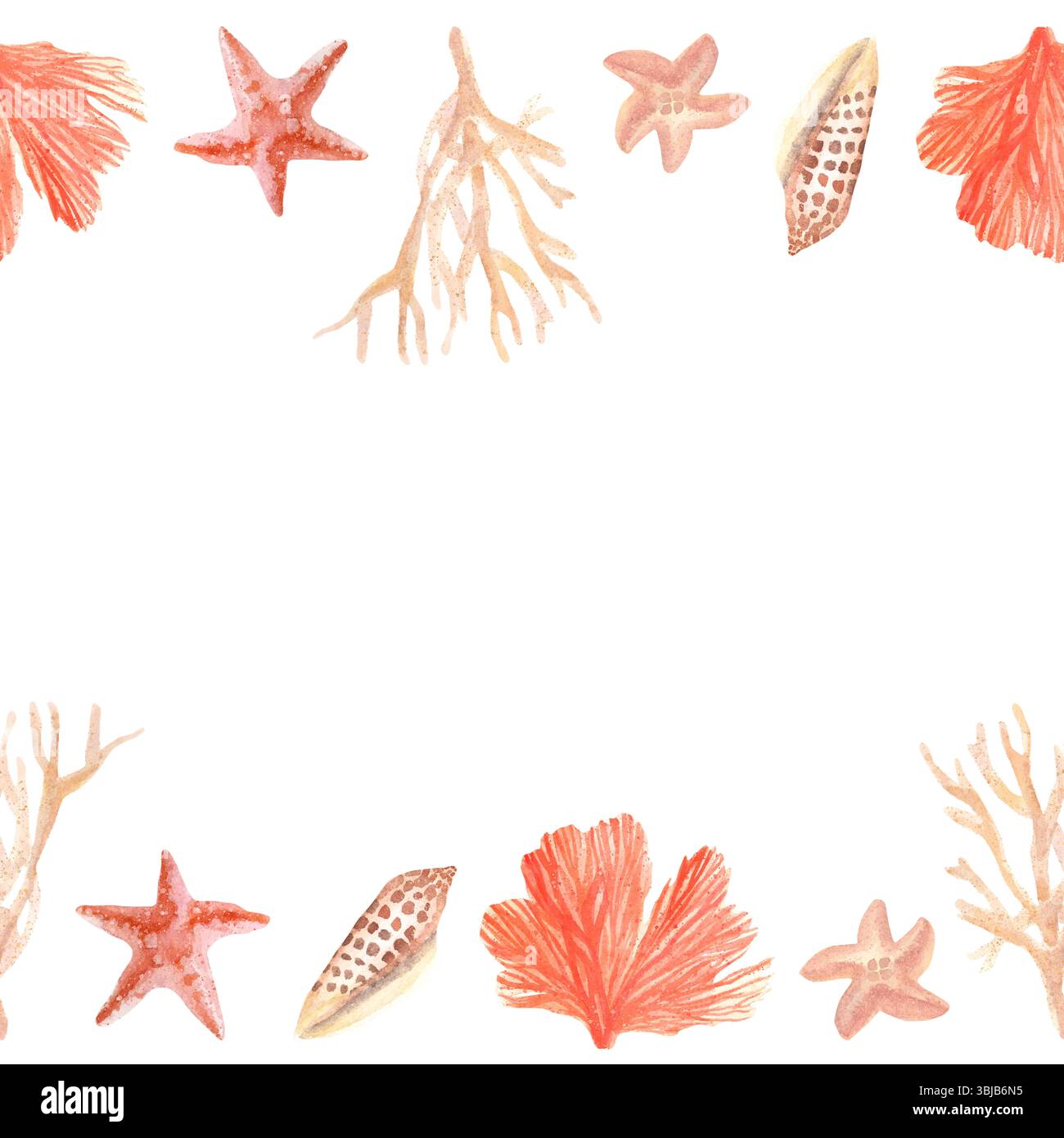 Watercolor seamless border of shells, corals and starfish Stock Photo ...