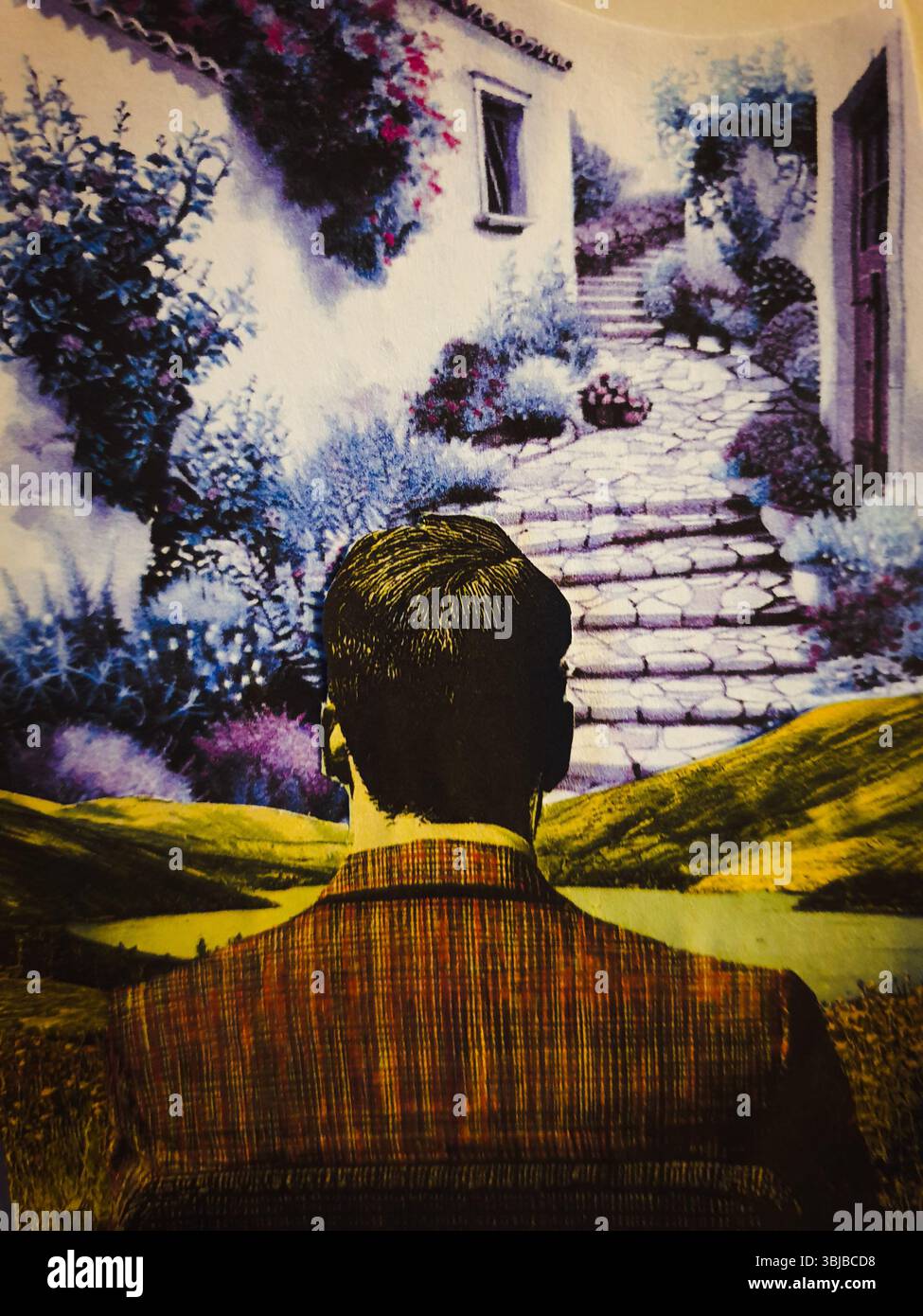 Man in a suit looking at an idyllic landscape and village with a path ...
