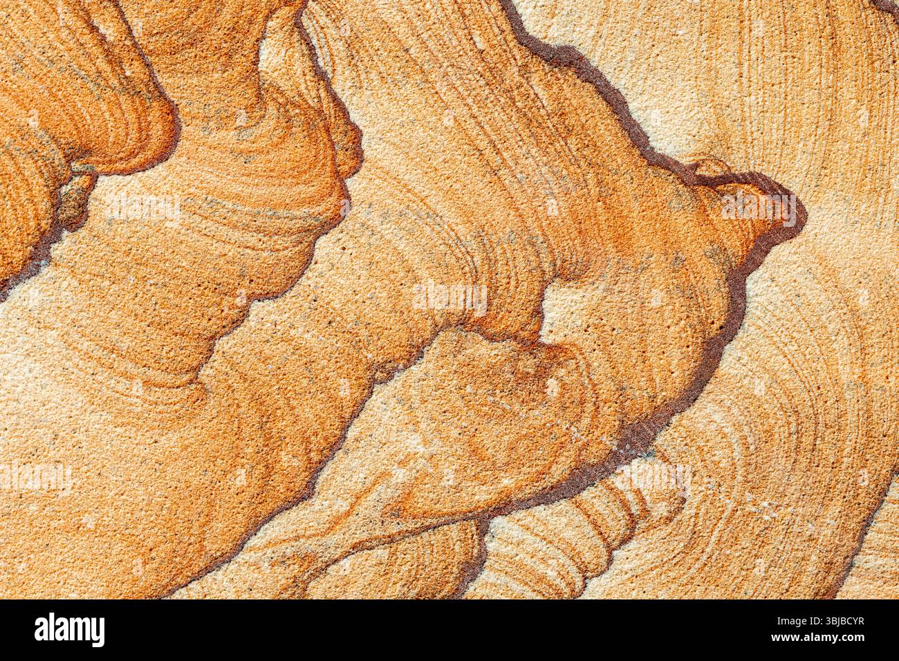 Details of banded sandstone, Arizona, by Dominique Braud/Dembinsky ...