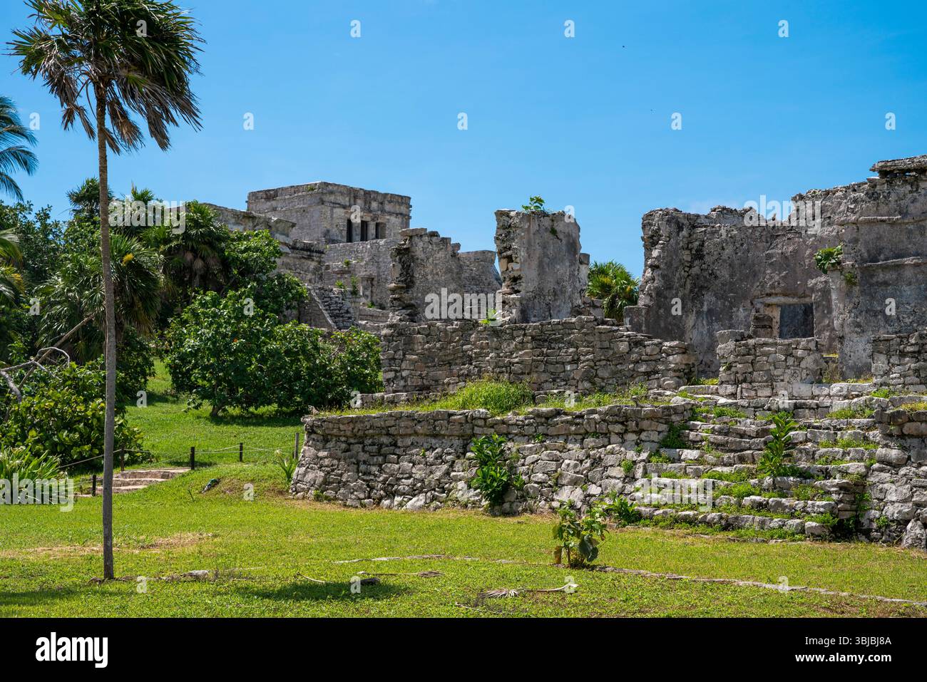 Stone ruins of the ancient Halach Uinik House with palm trees scattered ...