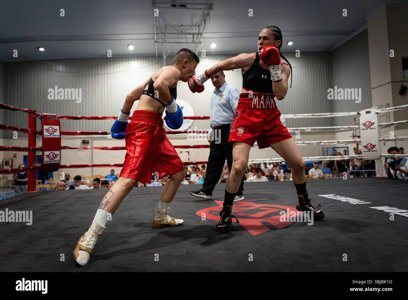 Gabriella mezei hi-res stock photography and images - Alamy