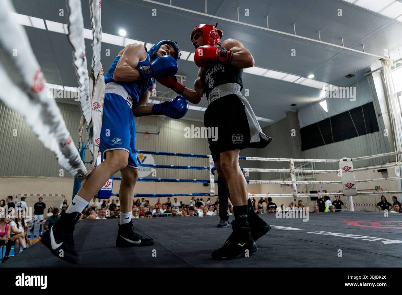 Zayed VS Alejandro Cancedo during the boxing fight in 'Villalkor boxing ...