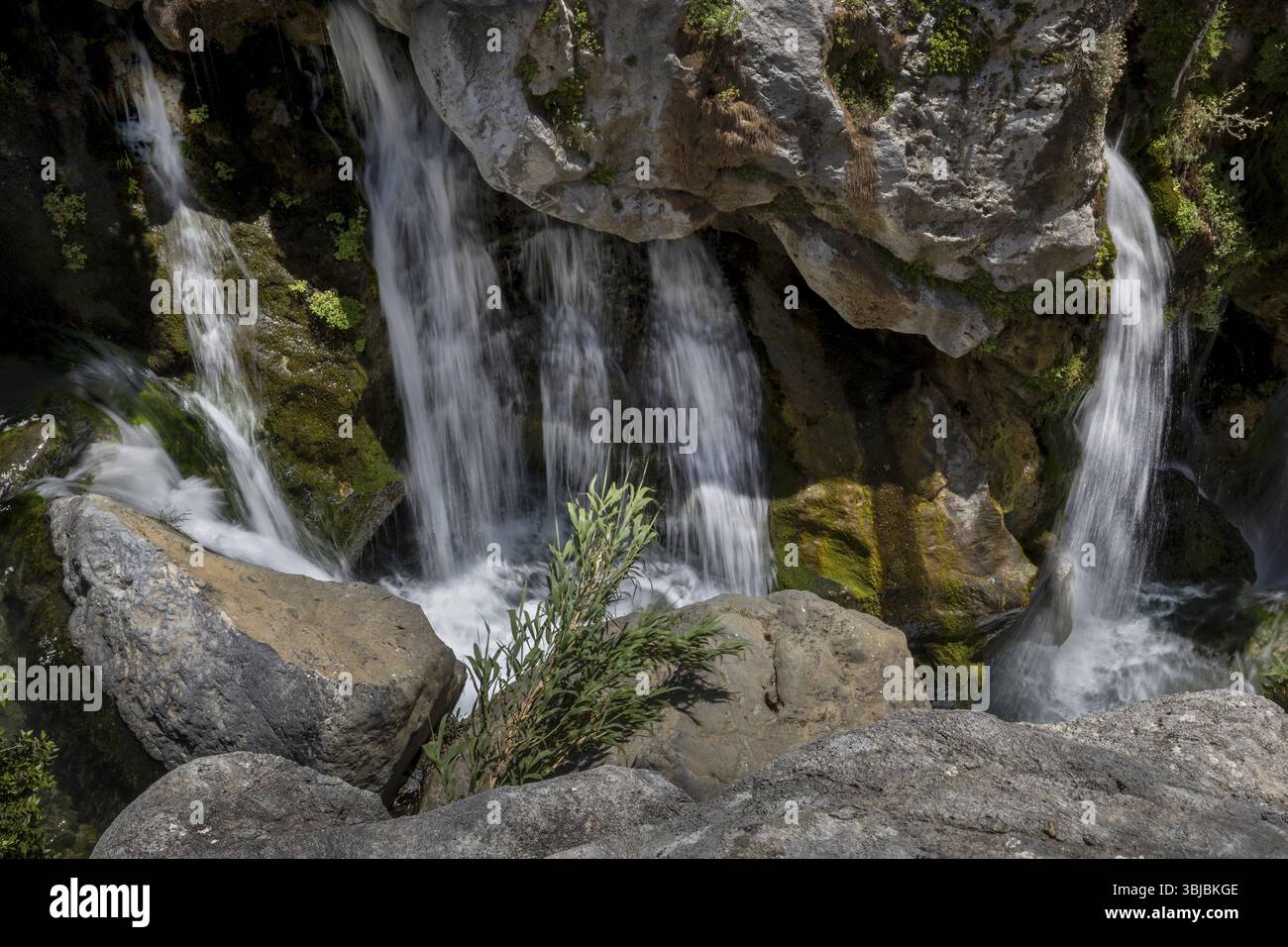 Kourtaliotiko Gorge, waterfall, Crete, Greece, 23 May 2025 ...