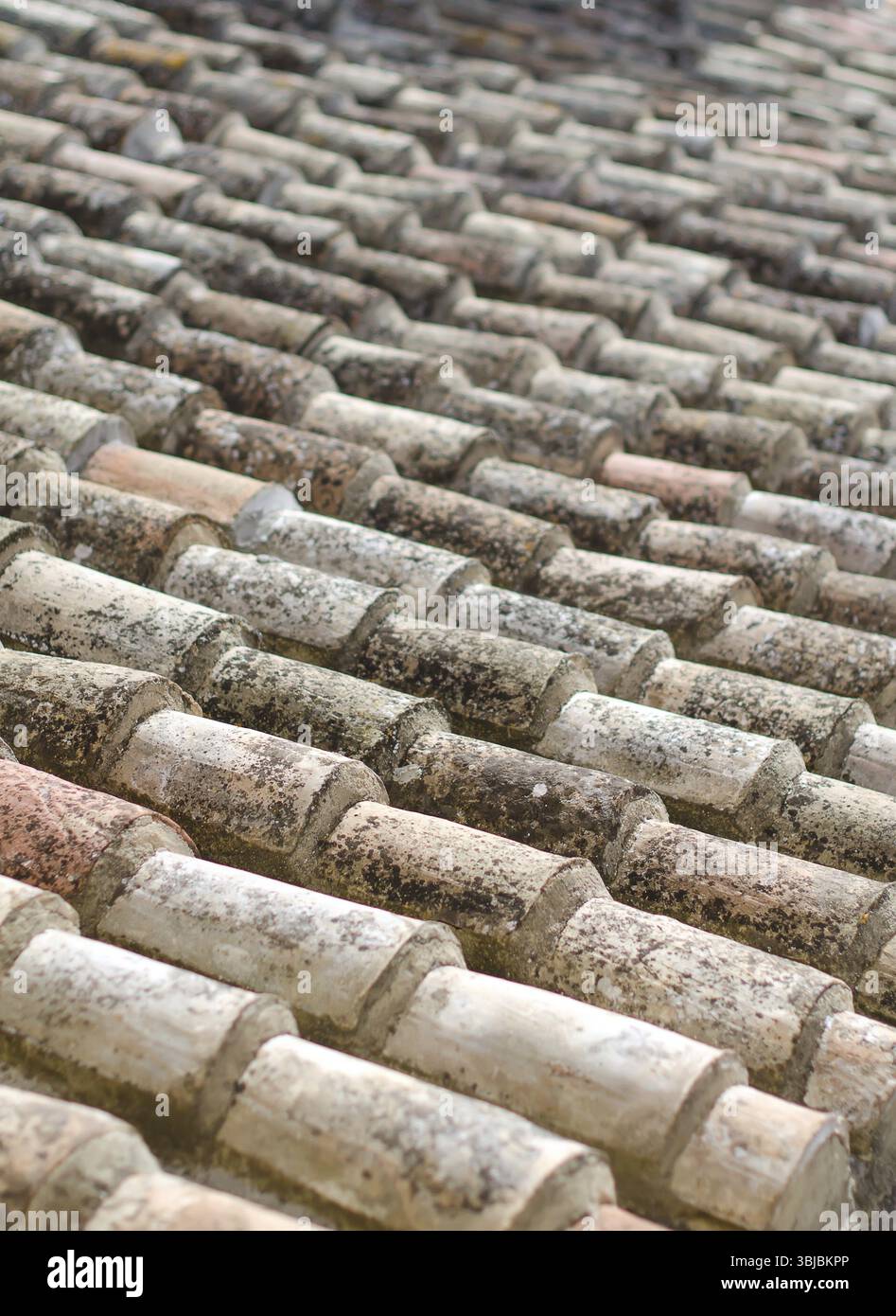 Canopy roof tiles hi-res stock photography and images - Alamy