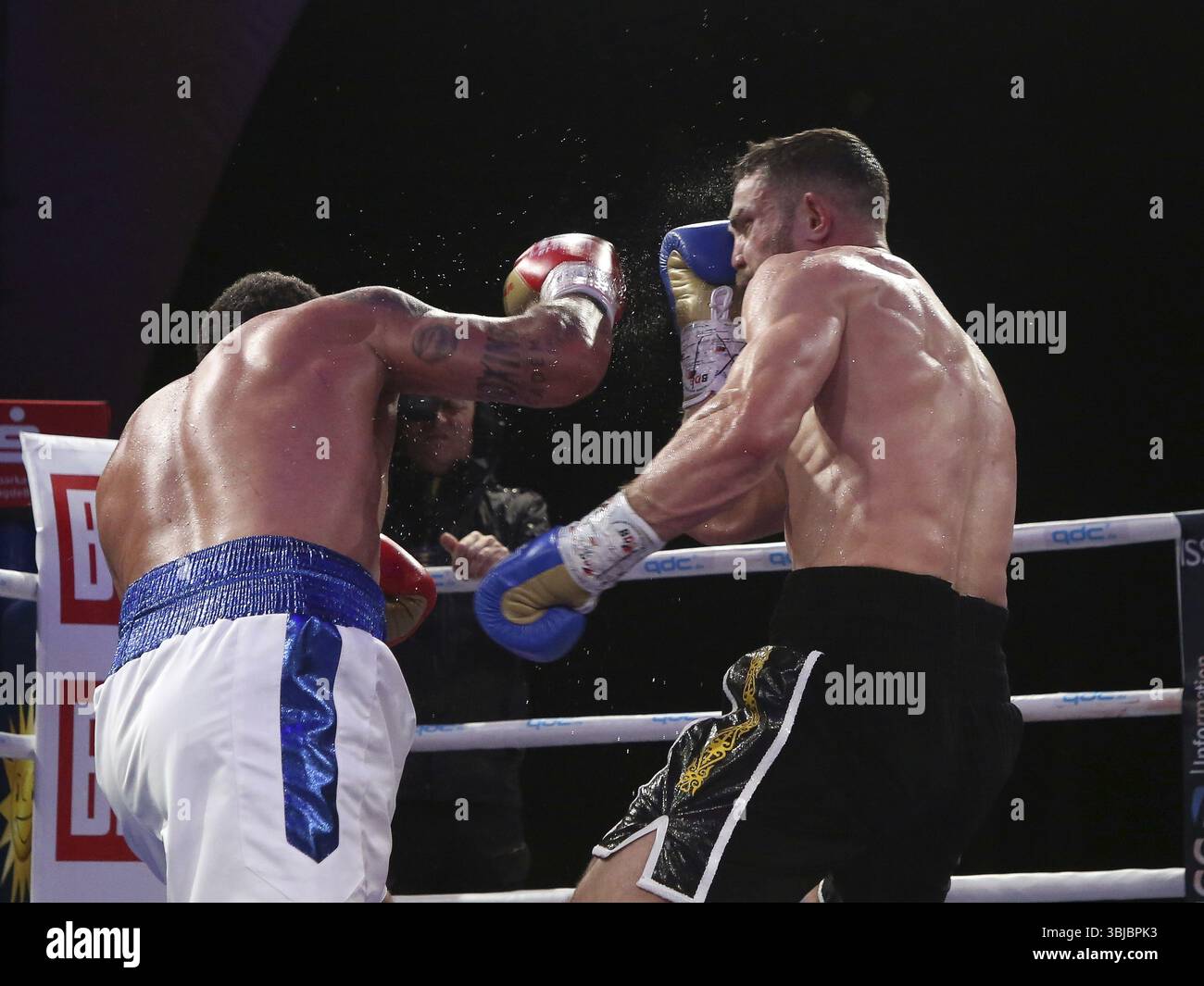 Roman Fress and Michael Seitz in a fight at the SES Anniversary Boxing ...