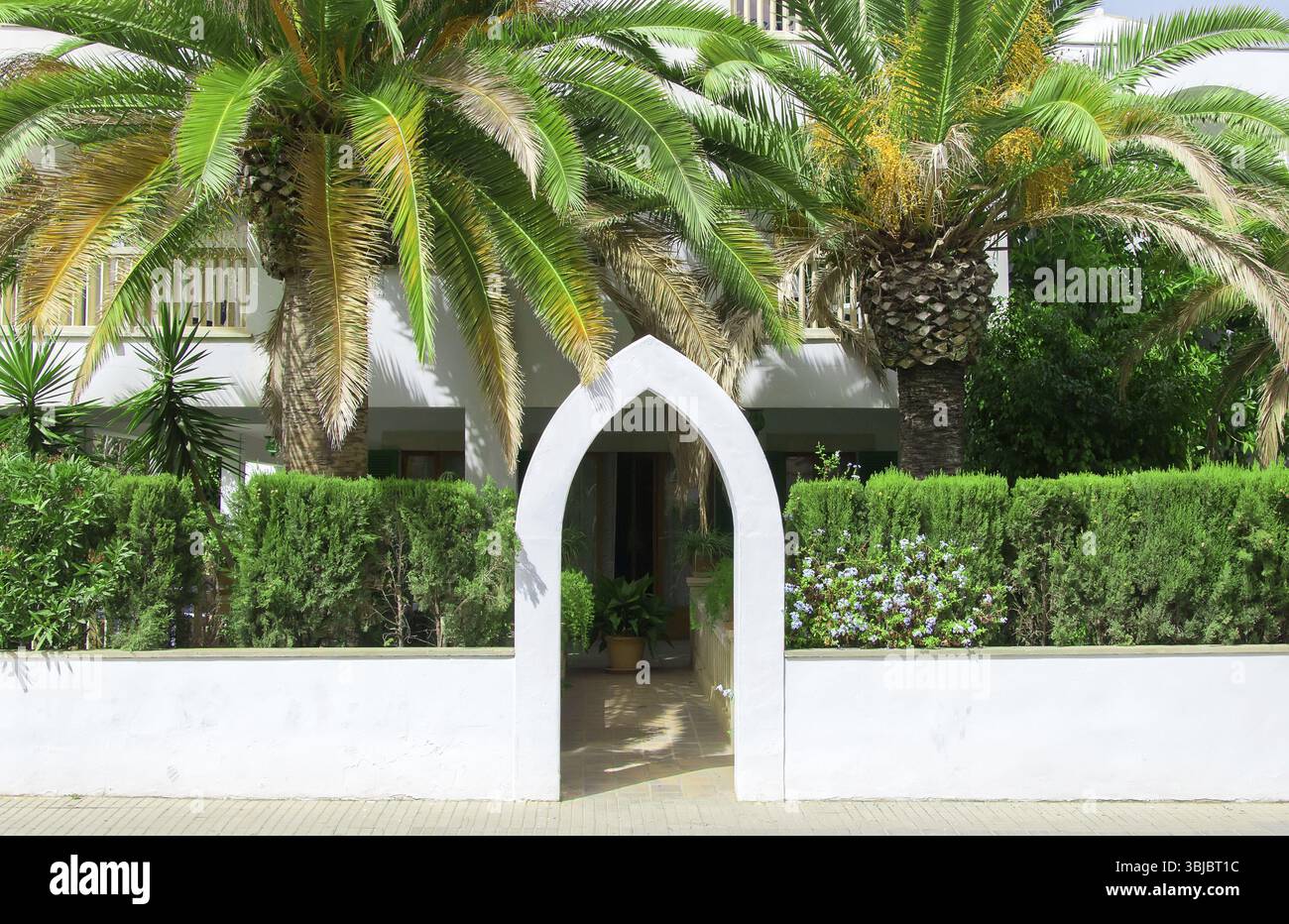 Entrance into the courtyard with palm trees Stock Photo - Alamy
