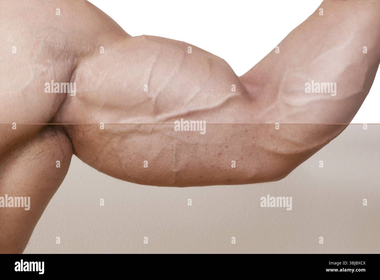 Professional Skin retouched biceps on bodybuilder hand. Before and ...