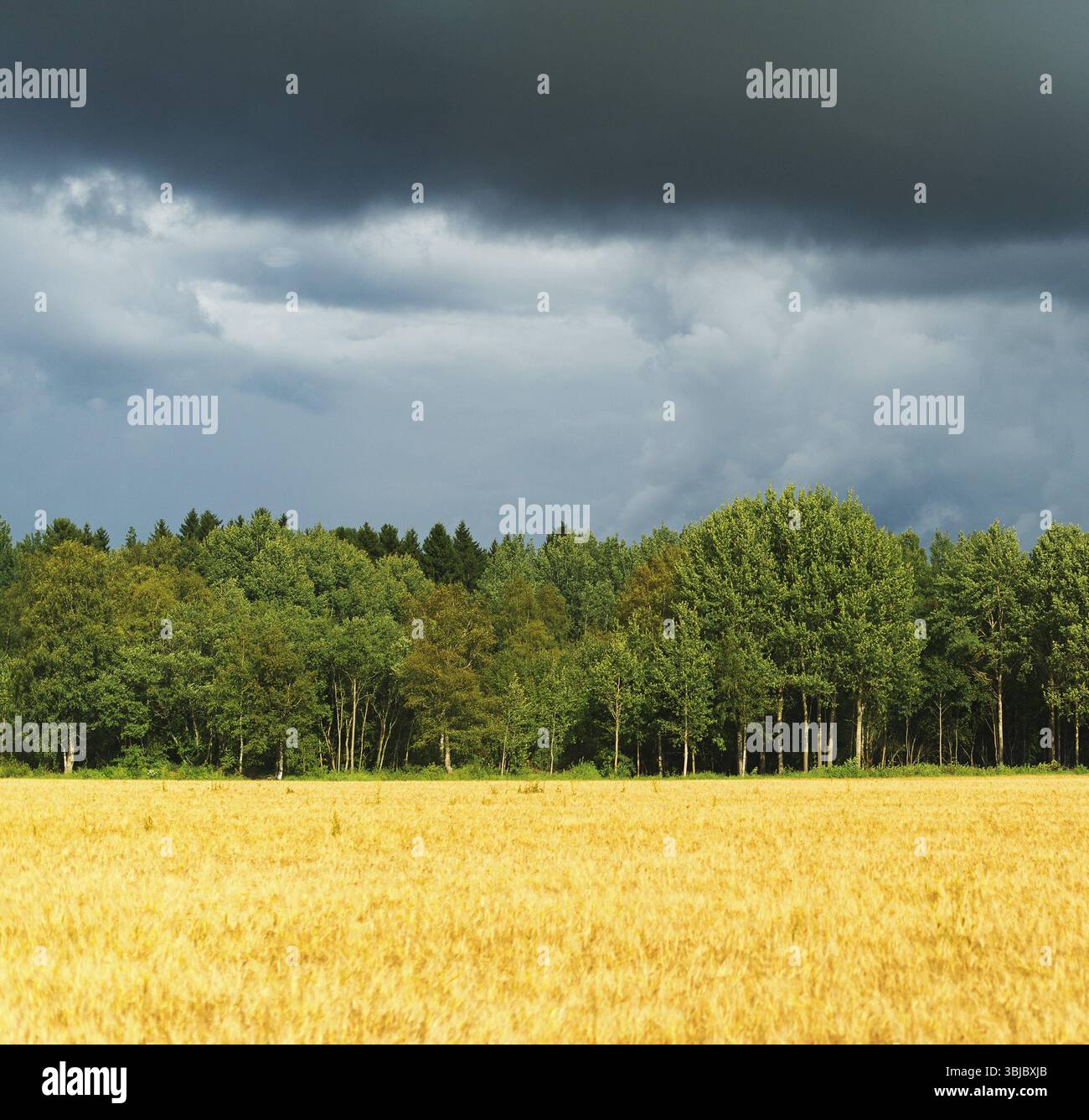 Cloudy atmosphere before rain hi-res stock photography and images - Alamy