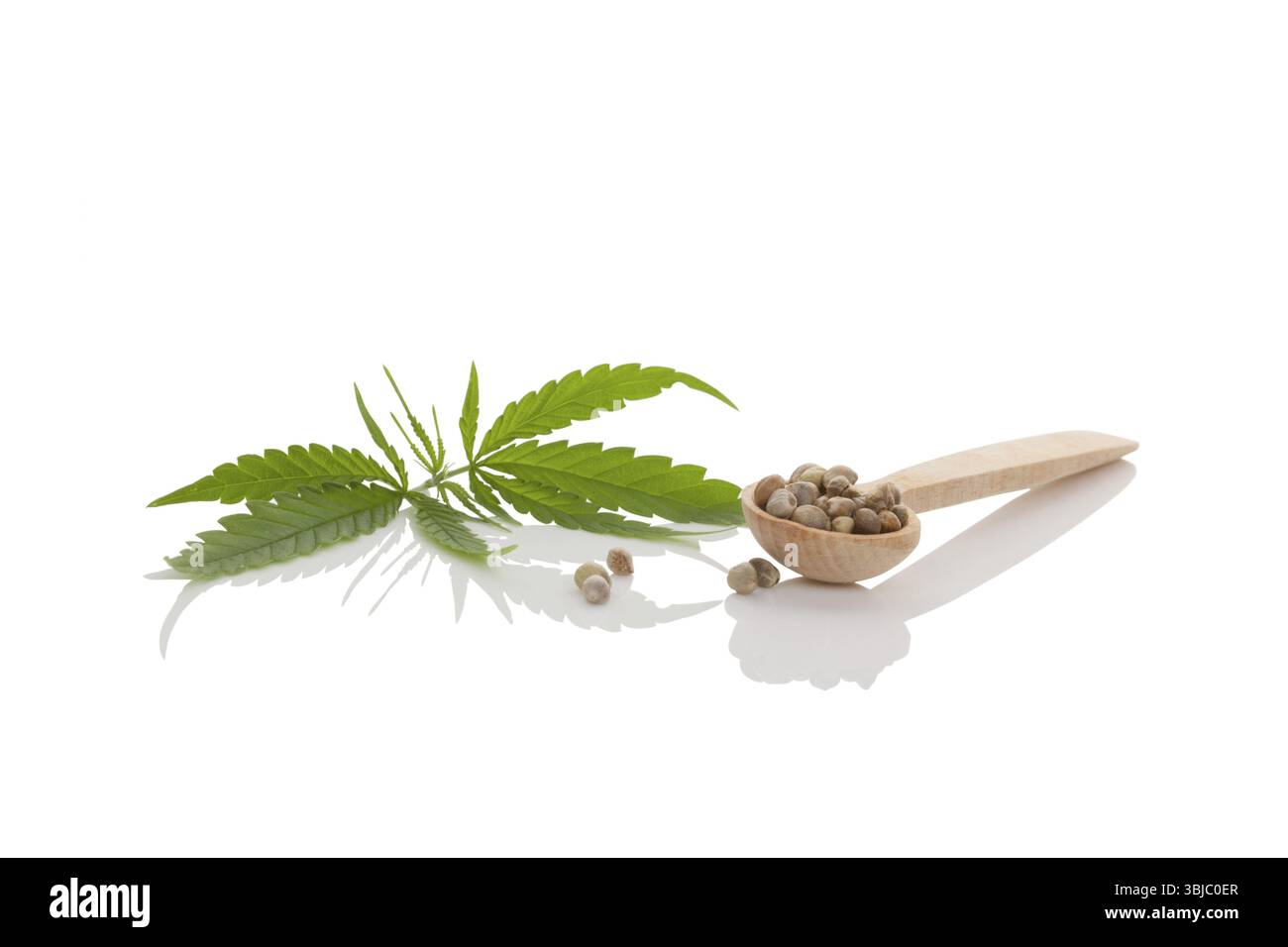 Cannabis seeds on wooden spoon and cannabis leaf isolated on white ...