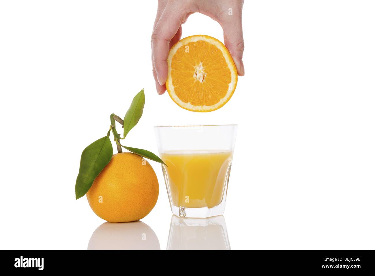 Freshly squeezed orange juice. Female hand squeezing orange into a ...