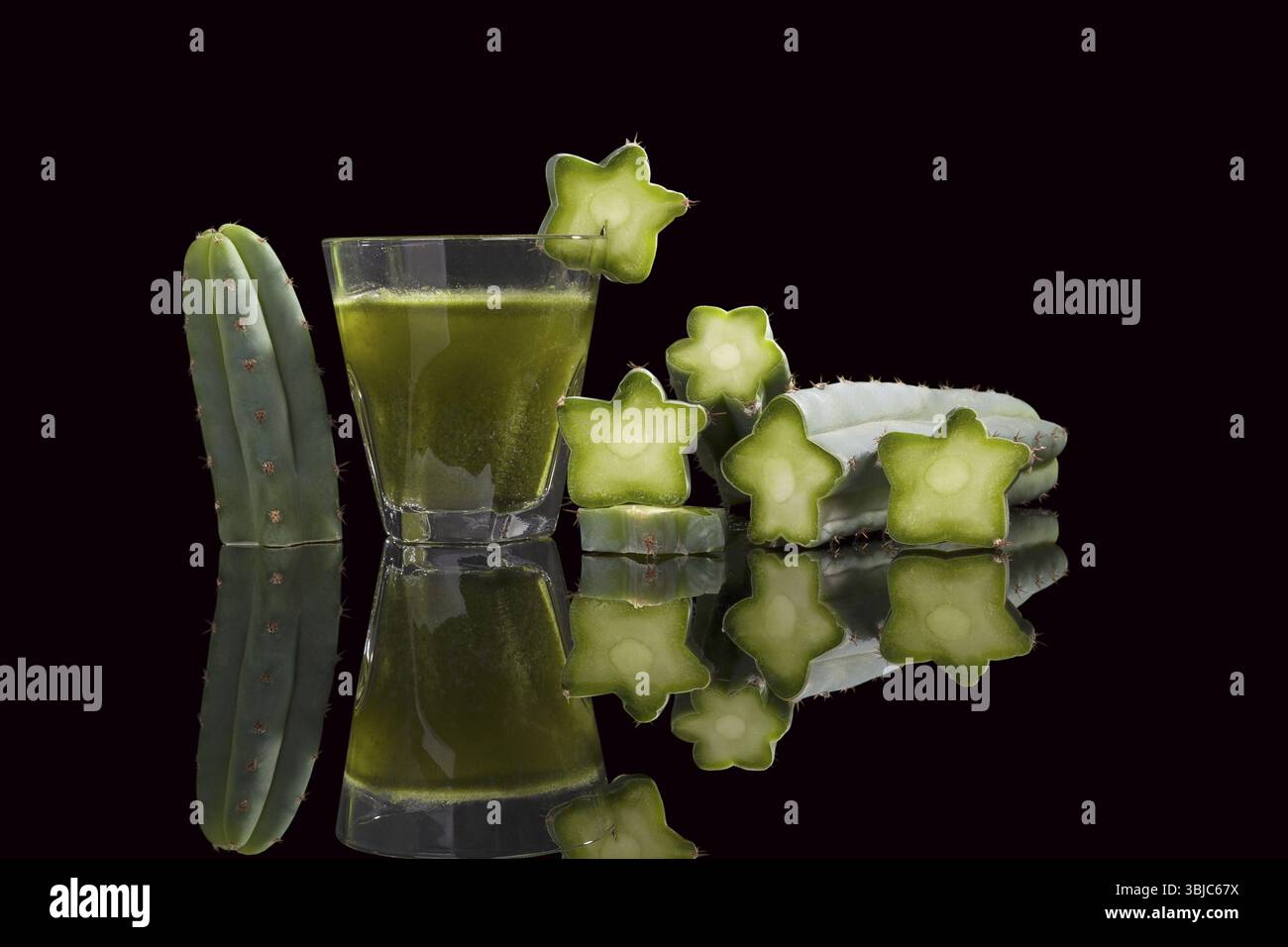 San Pedro cactus and brew isolated on black background. Traditional ...