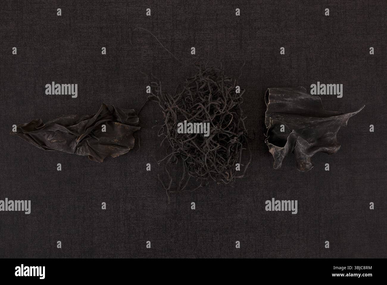Traditional chinese medicine seaweed and Dan Shen on black background ...