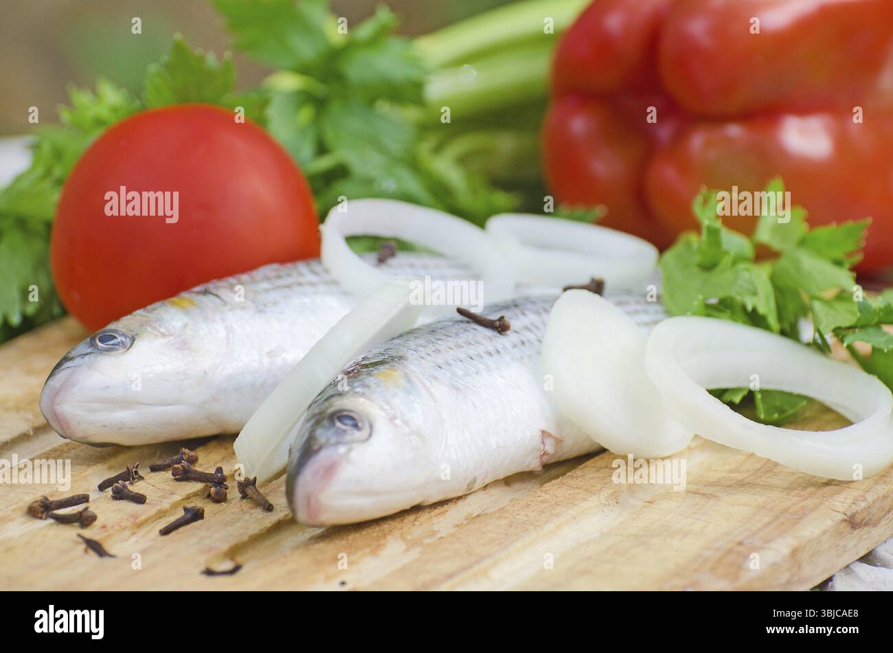 Mugil cephalus fish with vegetables Stock Photo - Alamy