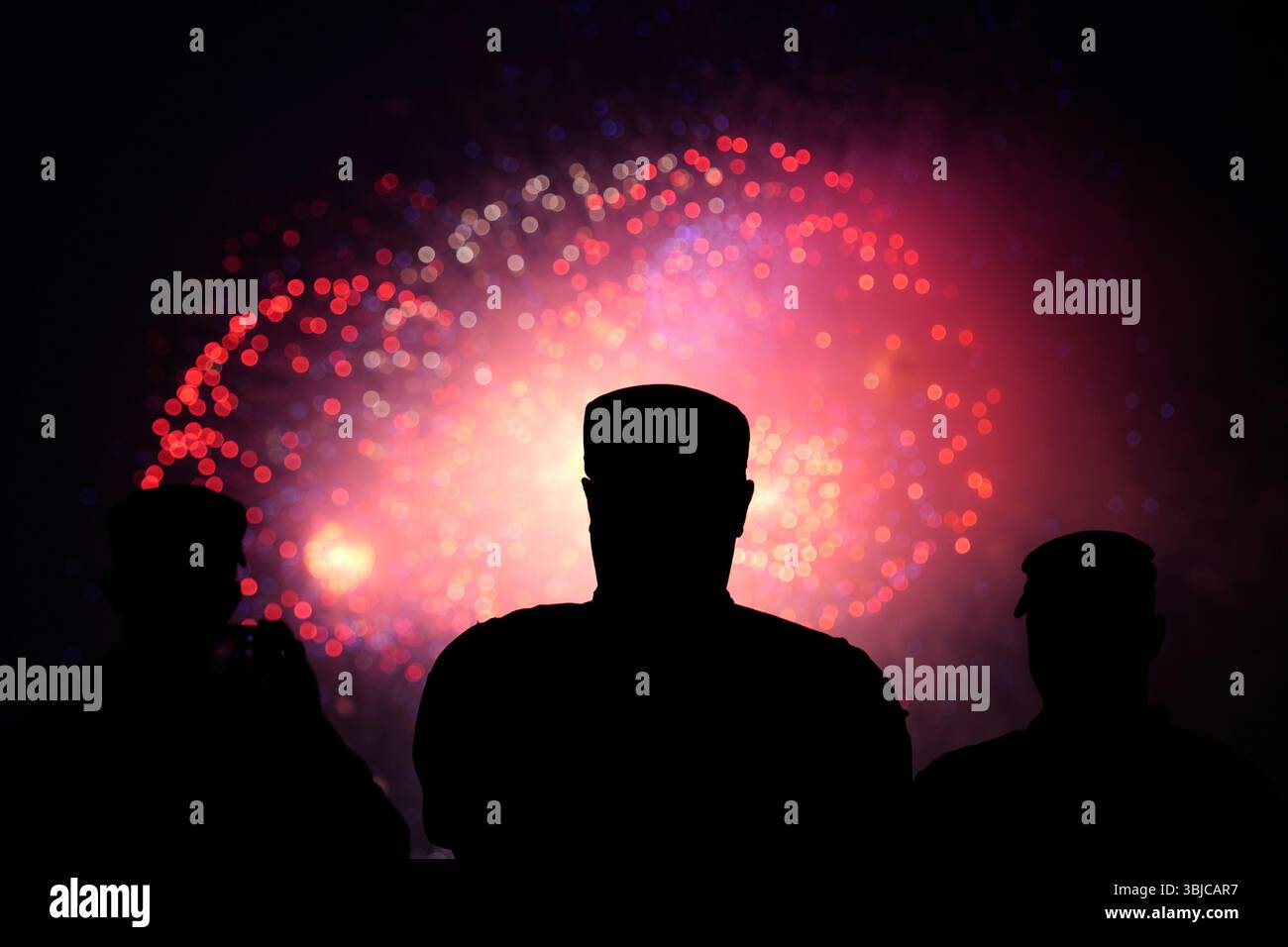 Members of military watch fireworks at the end of a military parade ...