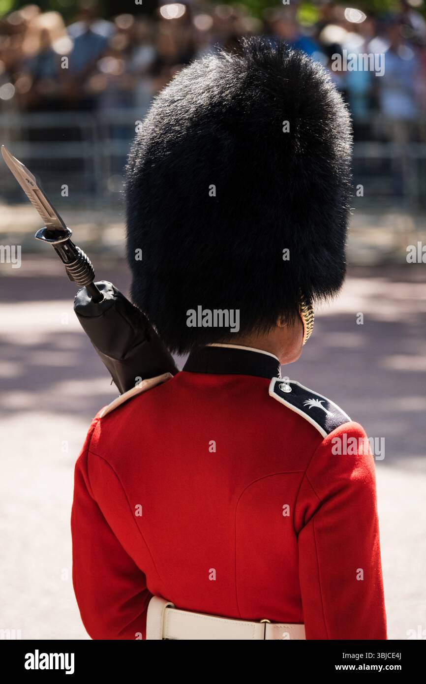 London, UK. 14th June, 2025. A portrait of a royal guard. The King's ...