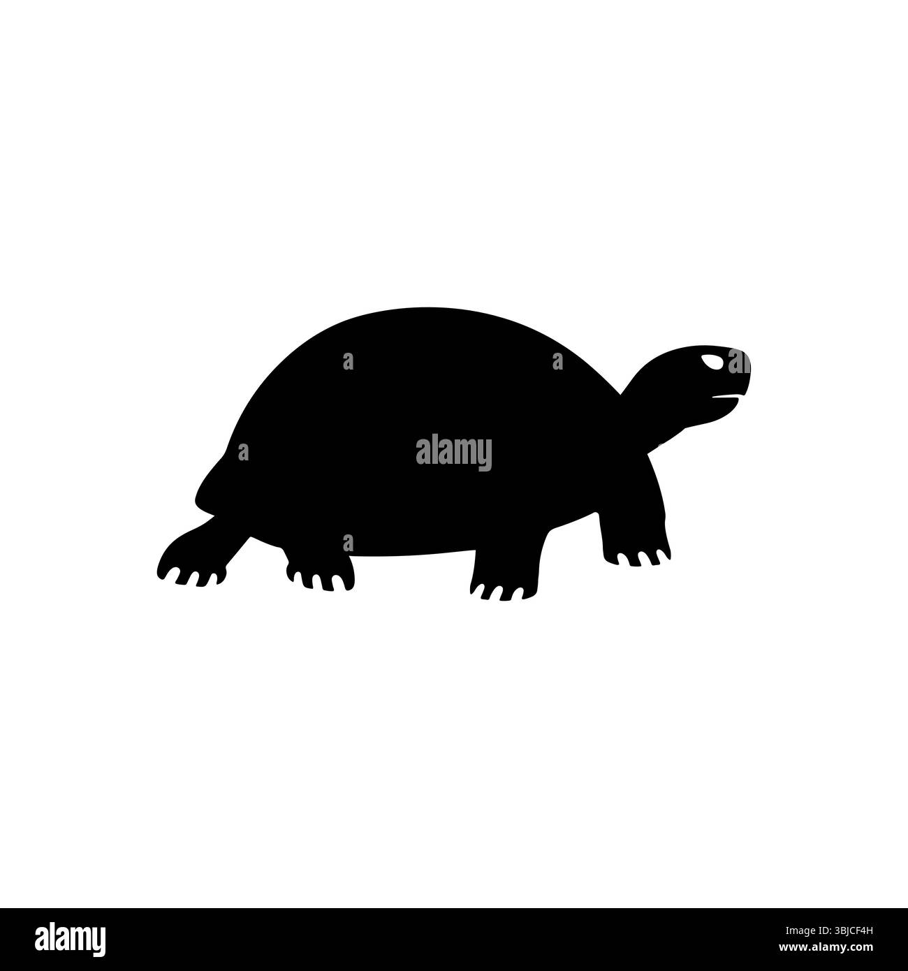 Turtle or tortoise silhouette vector icon Stock Vector Image & Art - Alamy