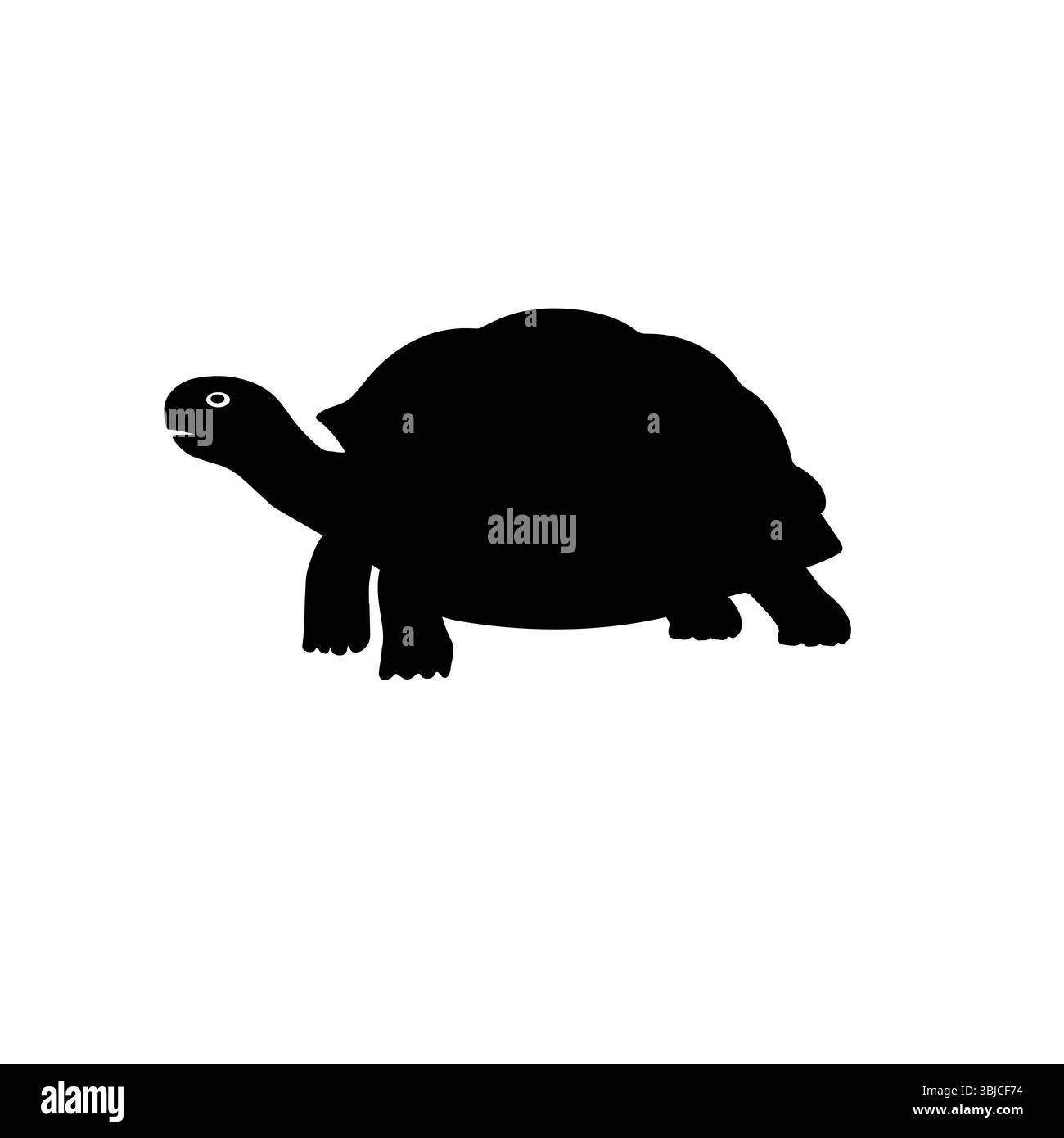 Tortoise side view Stock Vector Images - Alamy