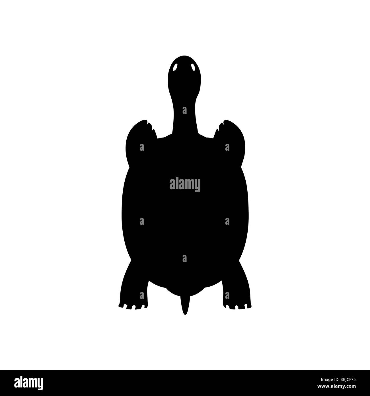 Turtle sketch Cut Out Stock Images & Pictures - Alamy